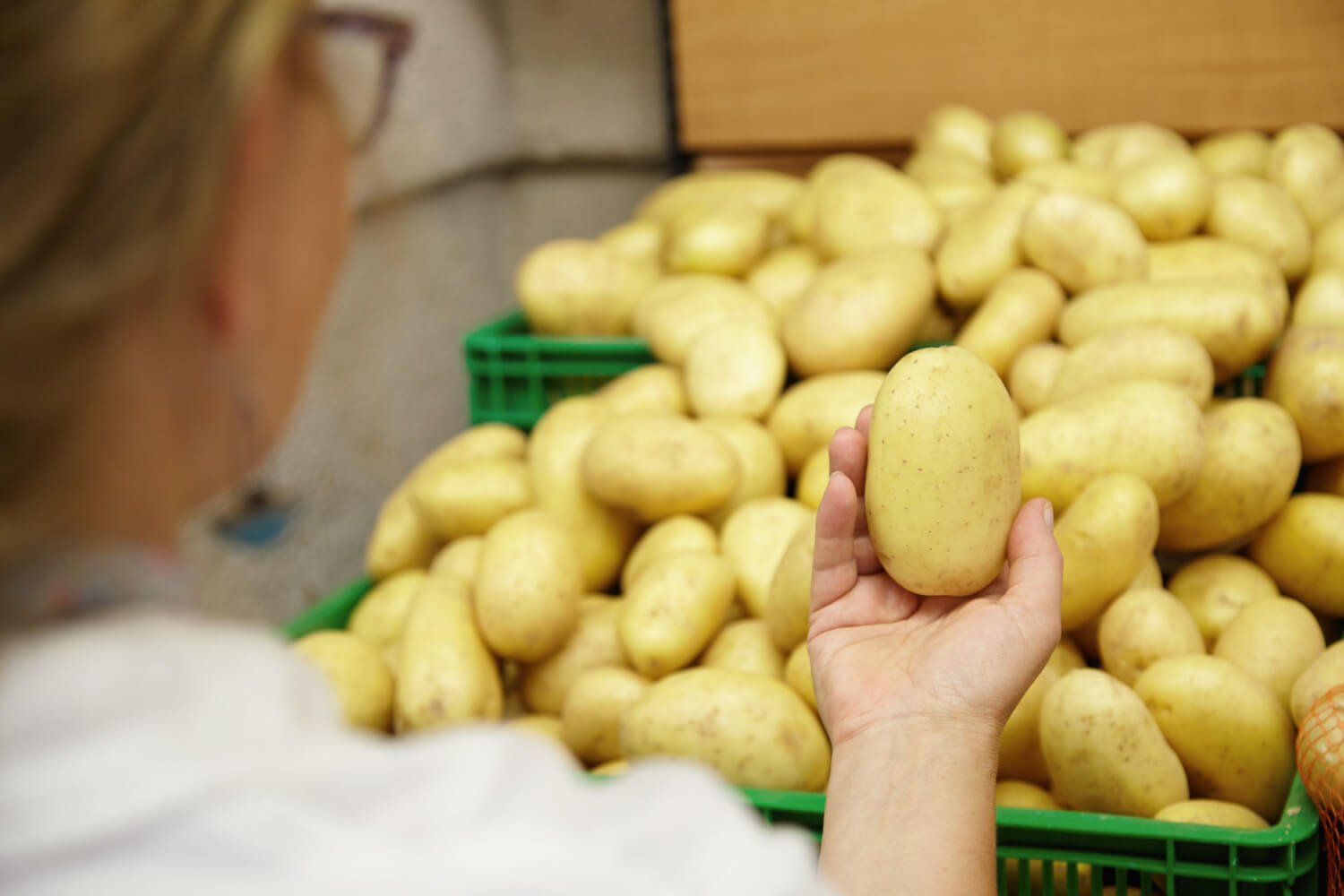 Seed Potato Quality Assurance: The Dutch Approach