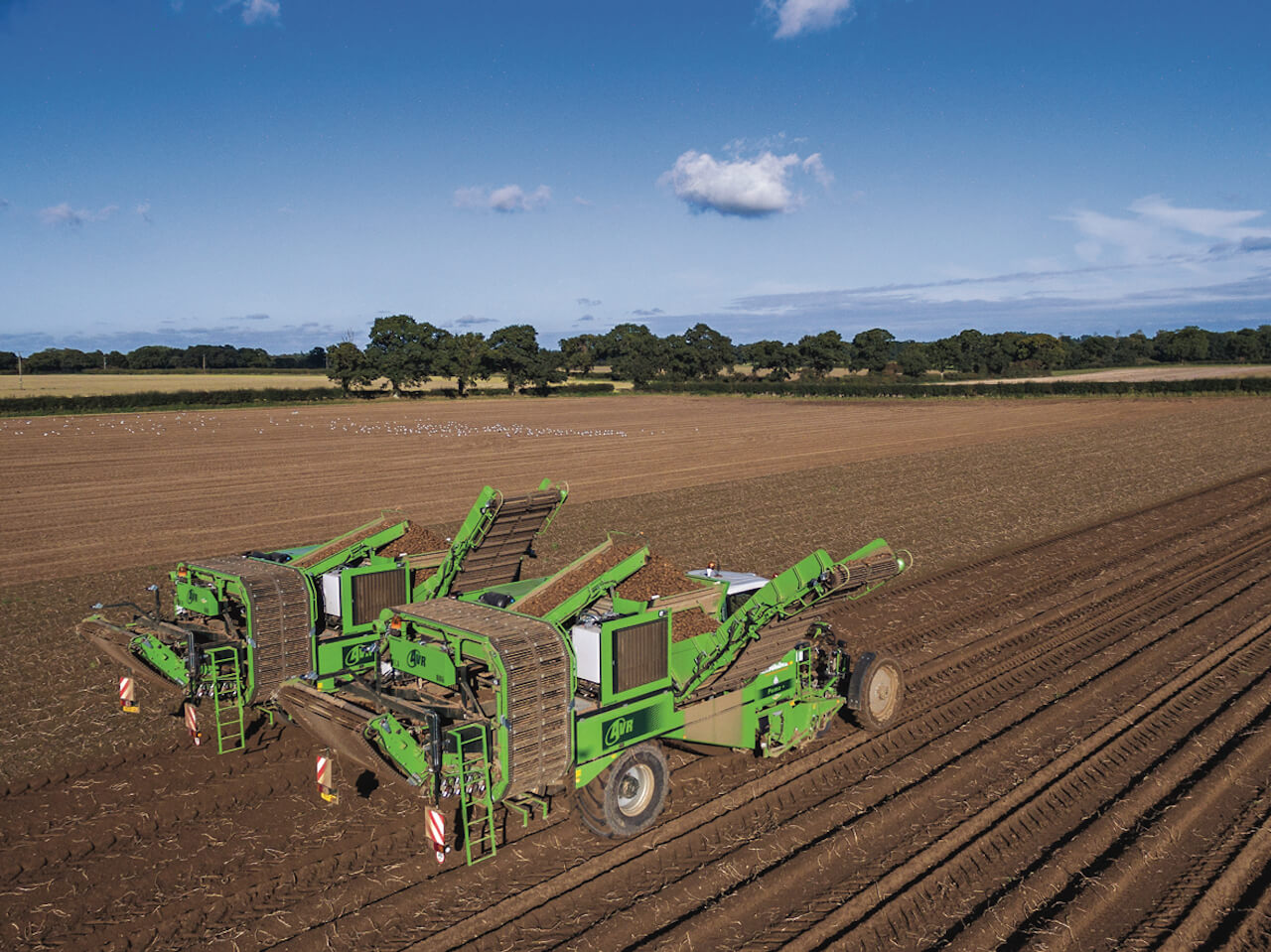 The Dutch Potato Supply Chain: From Farm to Fork